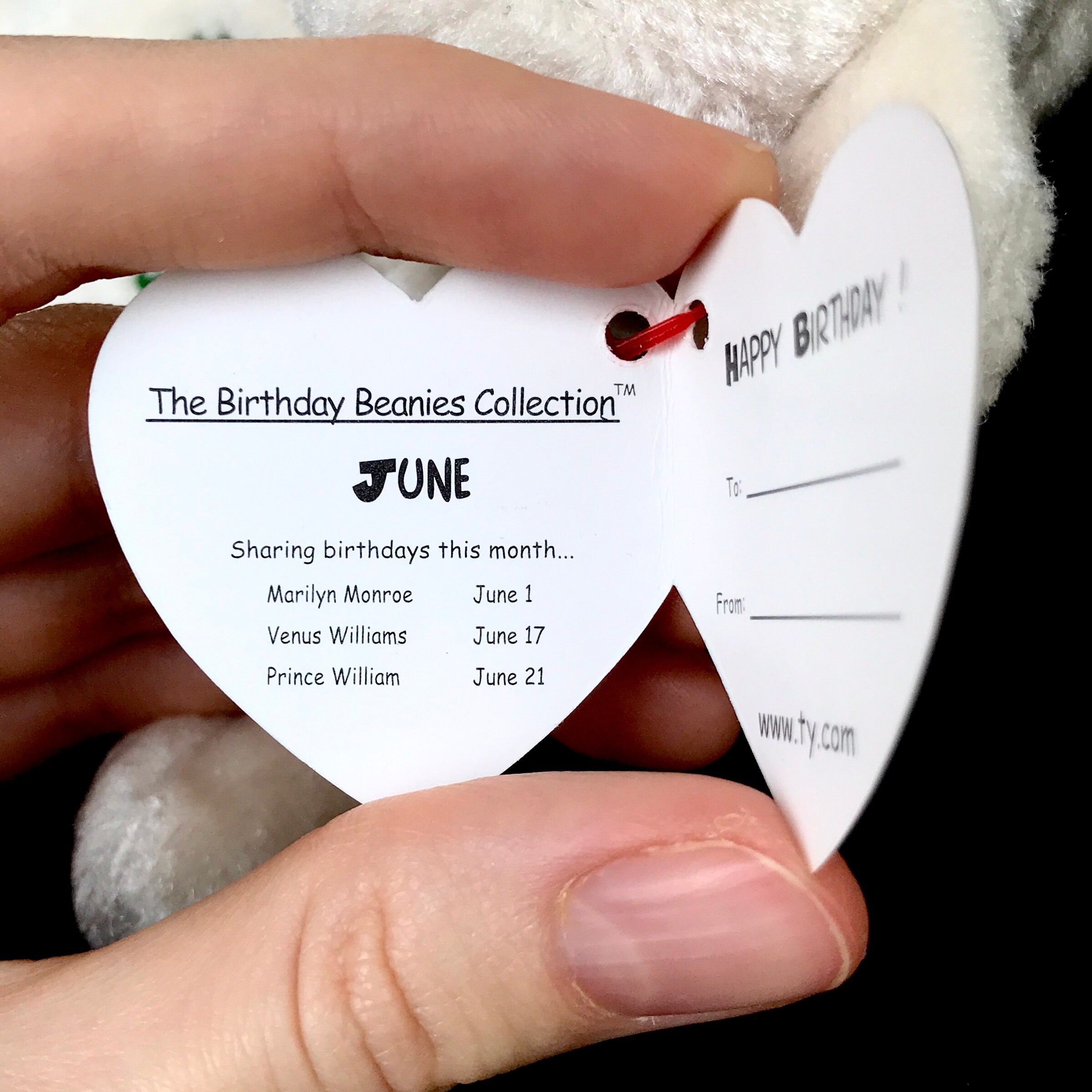 TY June the Birthday Bear 2002 Beanie Baby | Etsy