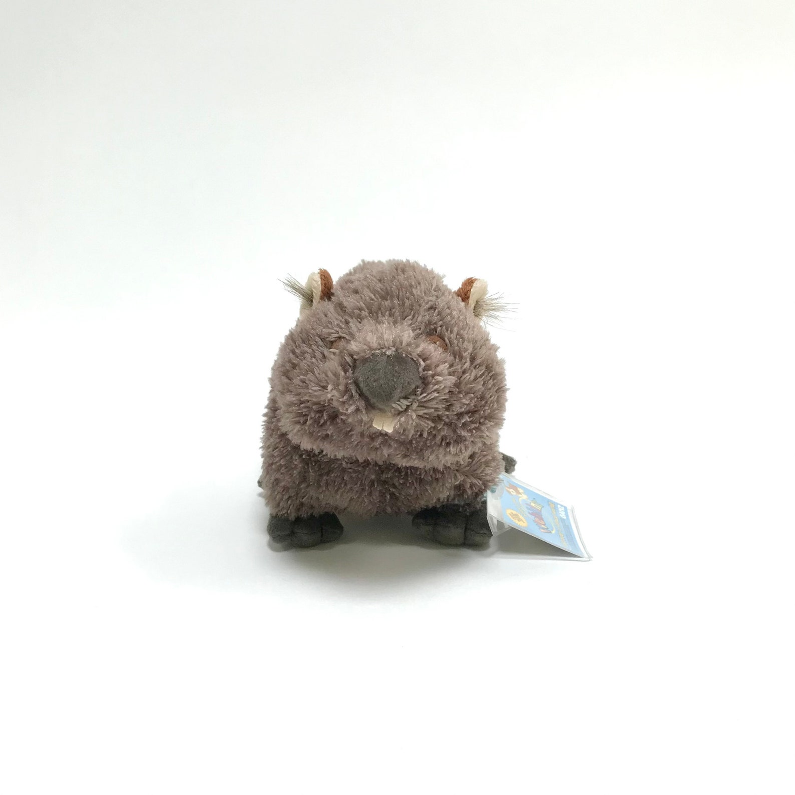 GANZ Webkinz Wombat // New With Sealed Code - Etsy