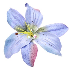 Karin's Garden 4" Lily Pin Brooch Clip With Swarovski Crystals - Etsy UK