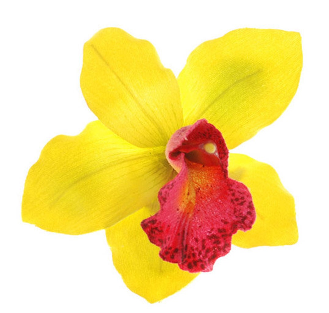 Vanda Orchid Hair Elastic: Tropical Vacation Accessory - Etsy