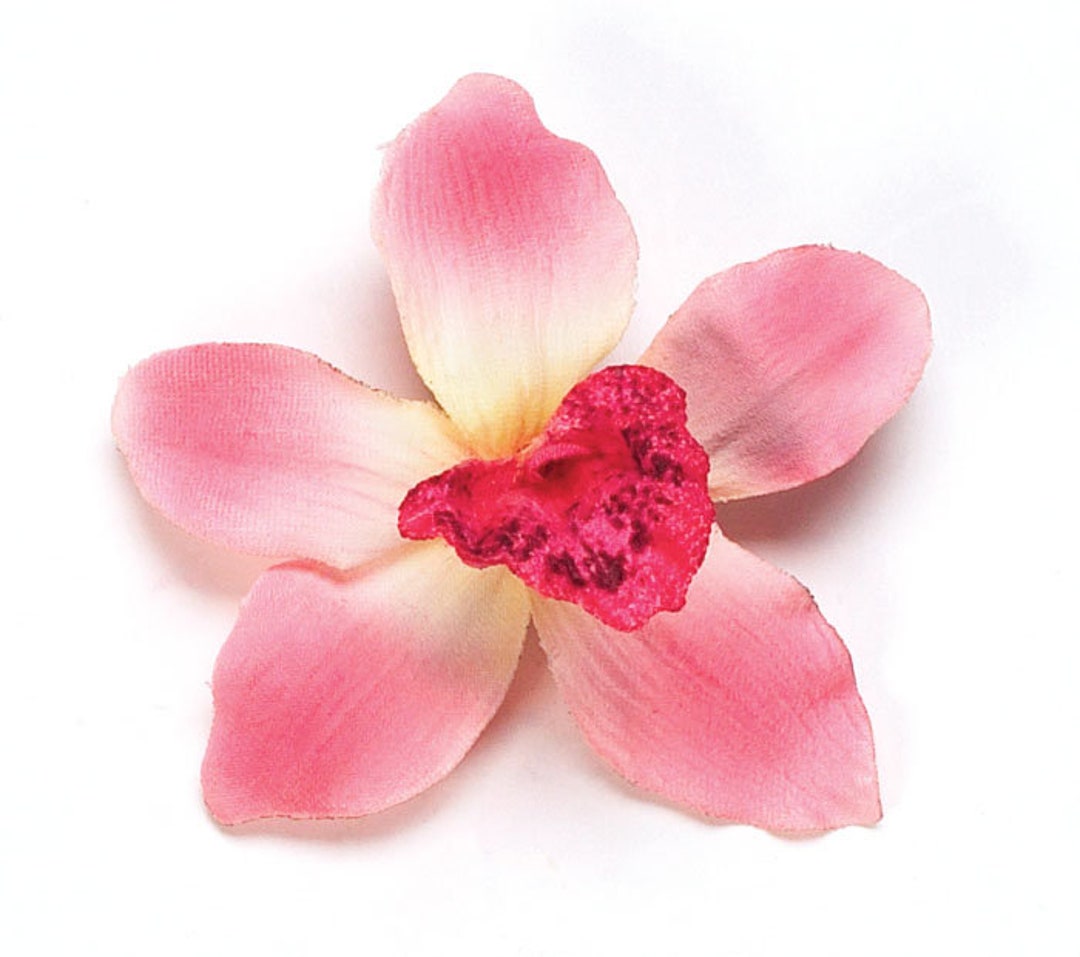 Karin's Garden 2 Mini Vanda Orchid Pinch Clip. - Etsy