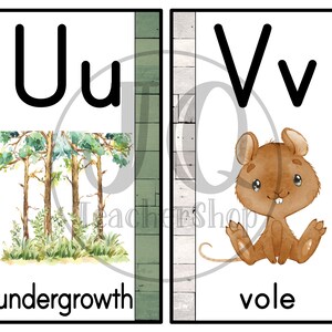 Printable, Woodland Theme Alphabet Wall Posters, Classroom Decor ...