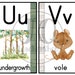 Printable, Woodland Theme Alphabet Wall Posters, Classroom Decor ...