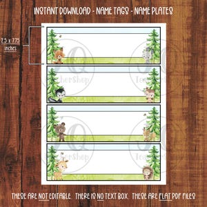 Printable Woodland Name Tags: Classroom Labels (PDF) - Etsy