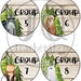 Printable Class Table Signs, Animal Table Labels, Blank Animal Signs ...