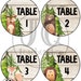 Printable Class Table Signs, Animal Table Labels, Blank Animal Signs ...