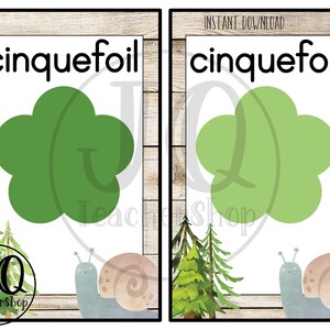 Printable 2d Shape Cards Woodland Theme Classroom Decor - Etsy