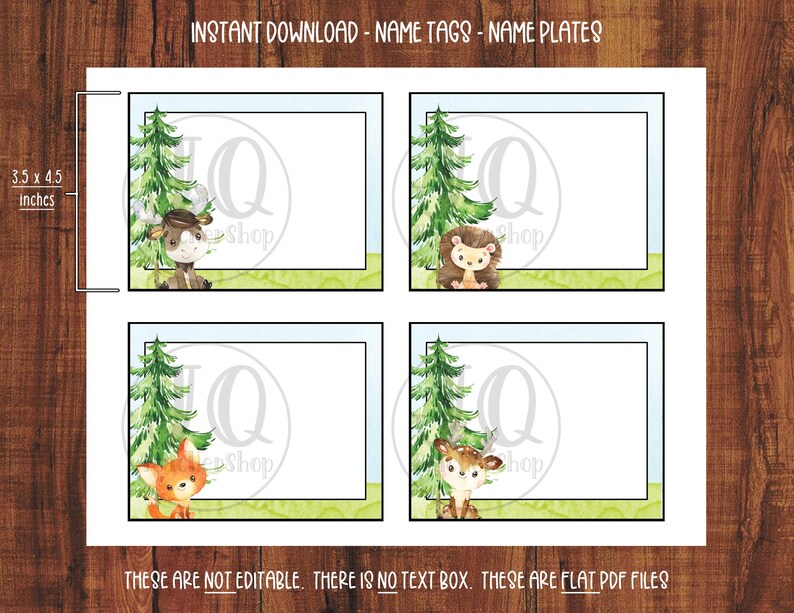 Printable Woodland Name Tags: Classroom Labels (PDF) - Etsy