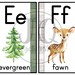 Printable, Woodland Theme Alphabet Wall Posters, Classroom Decor ...