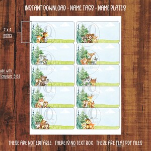 Printable Woodland Name Tags: Classroom Labels (PDF) - Etsy