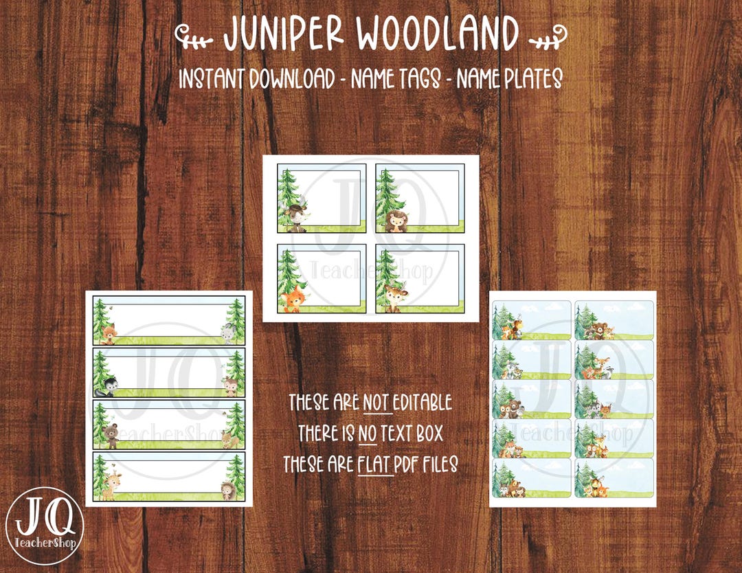 Printable Woodland Name Tags: Classroom Labels (PDF) - Etsy
