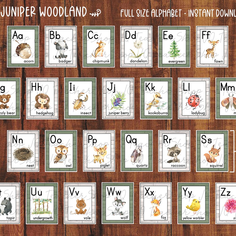 JQTeacherShop - Etsy