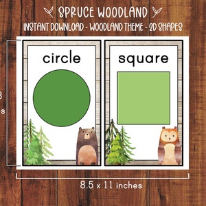 Printable 2d Shape Cards, Woodland Theme Classroom Decor, Homeschool ...