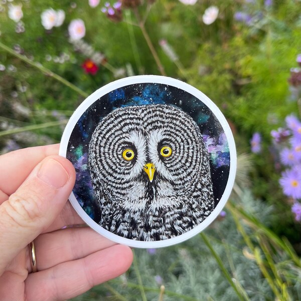 Owl Sticker - Etsy UK