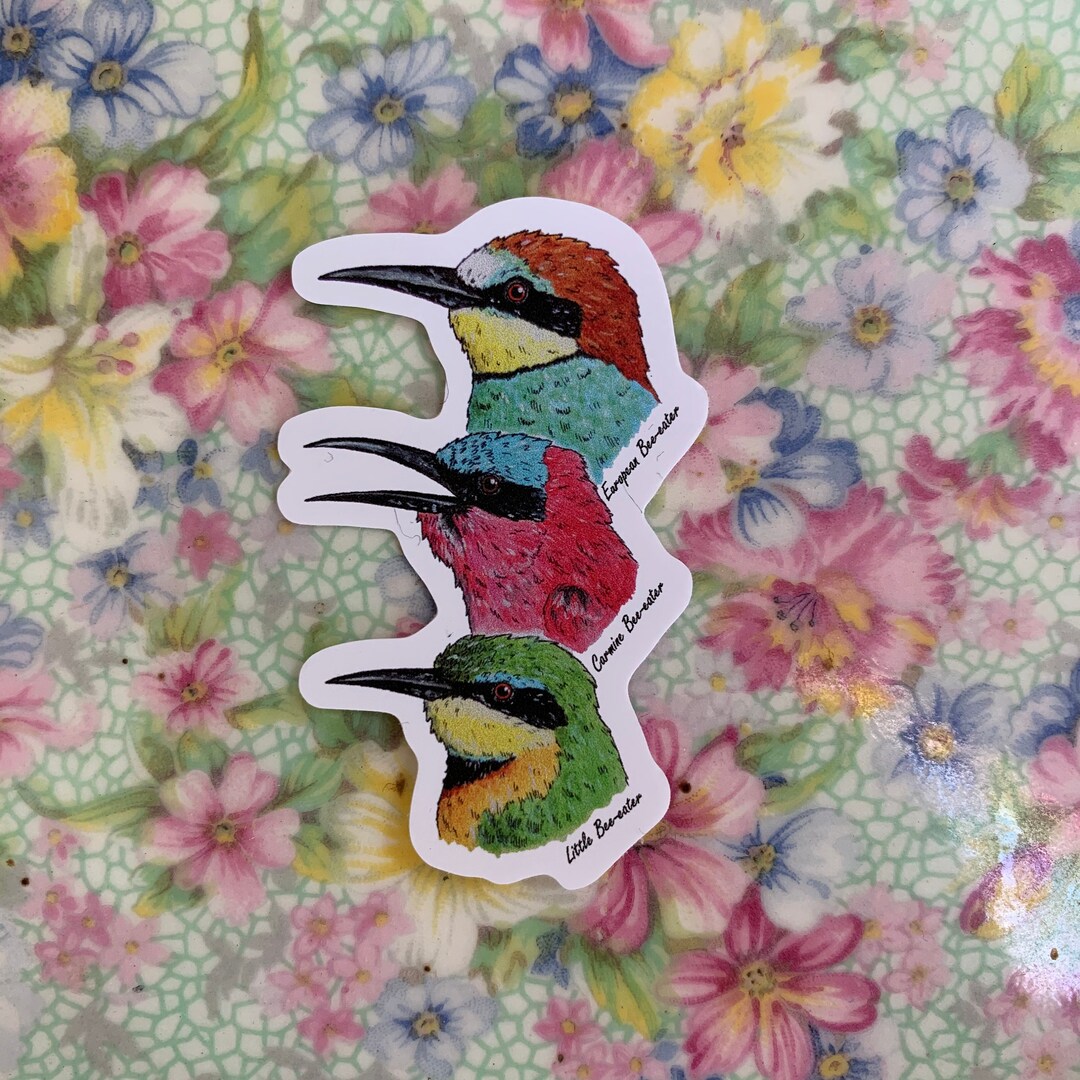 Bee Eater Sticker 5cm - Etsy