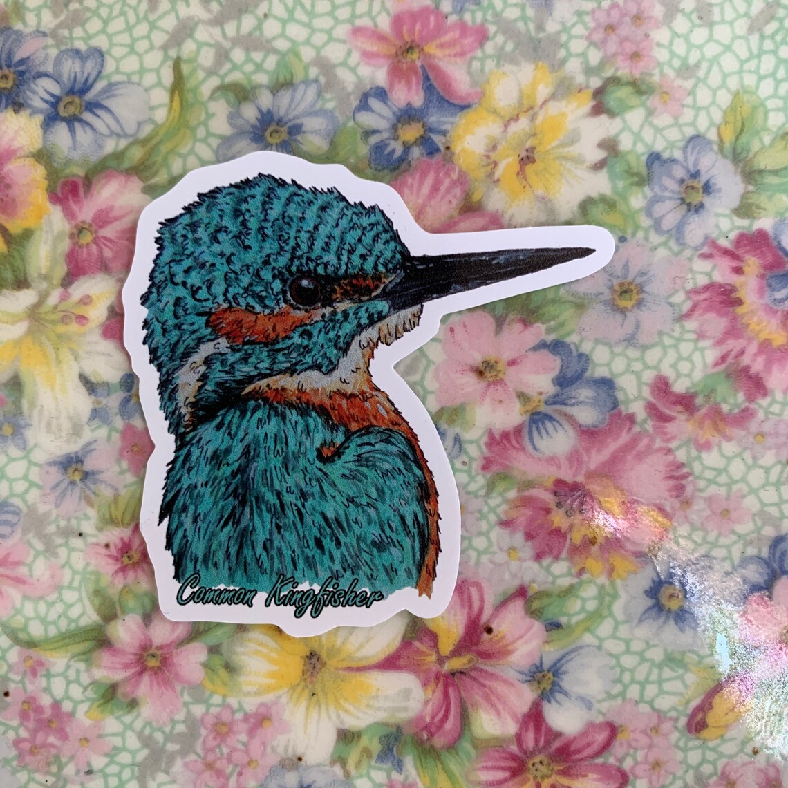 Kingfisher Sticker 5cm - Etsy