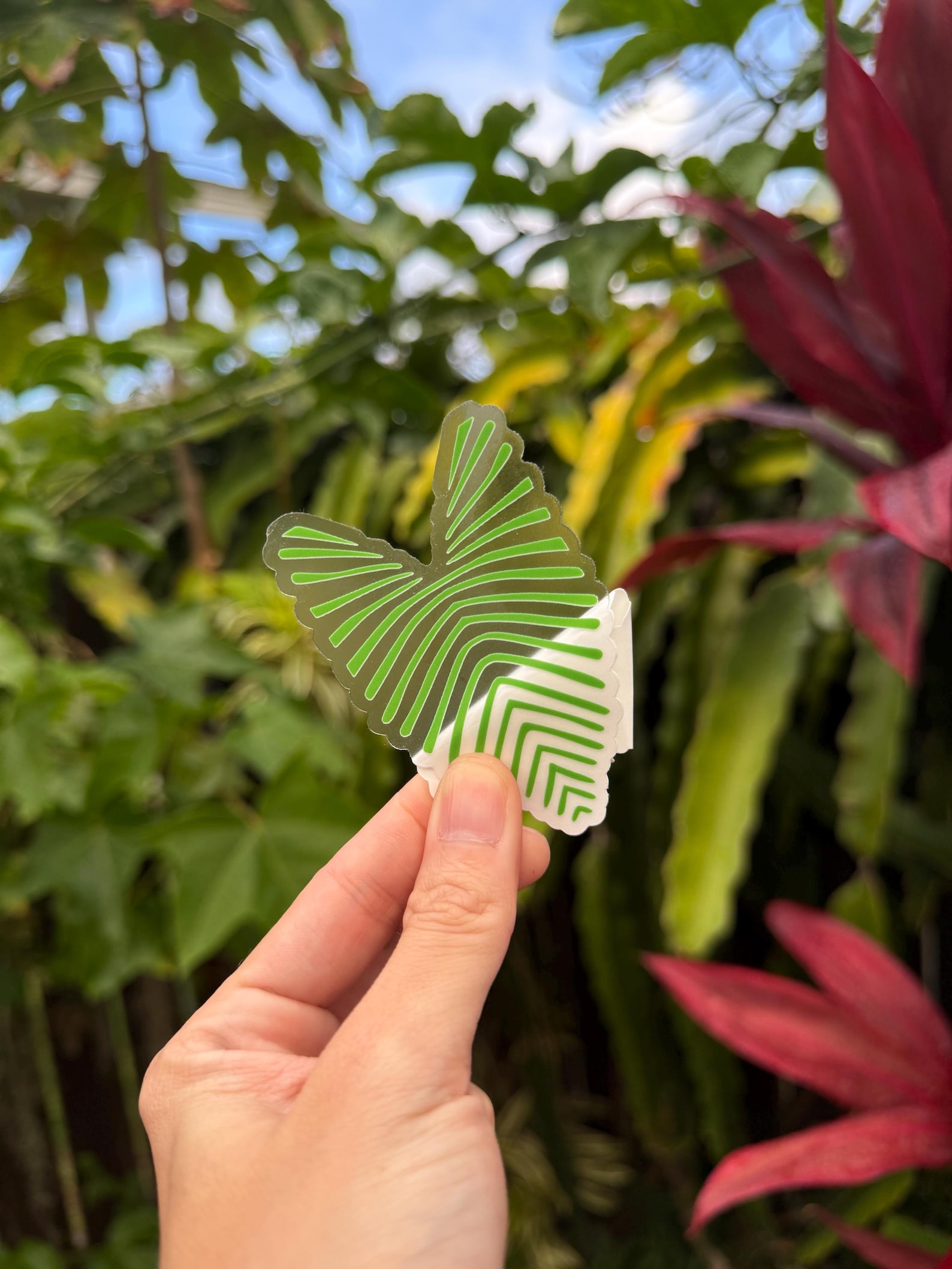 Kuahiwi Sticker Pack | Waterproof Clear Stickers | Iwa Bird Lehua ...