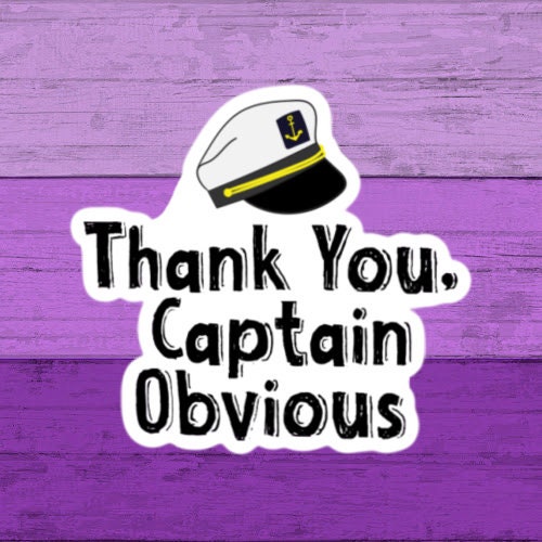 Thank You Captain Obvious Gif