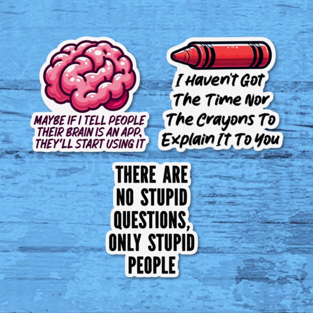 Funny Sarcastic Vinyl Sticker Pack Die Cut Vinyl Sticker Snarky Rude ...