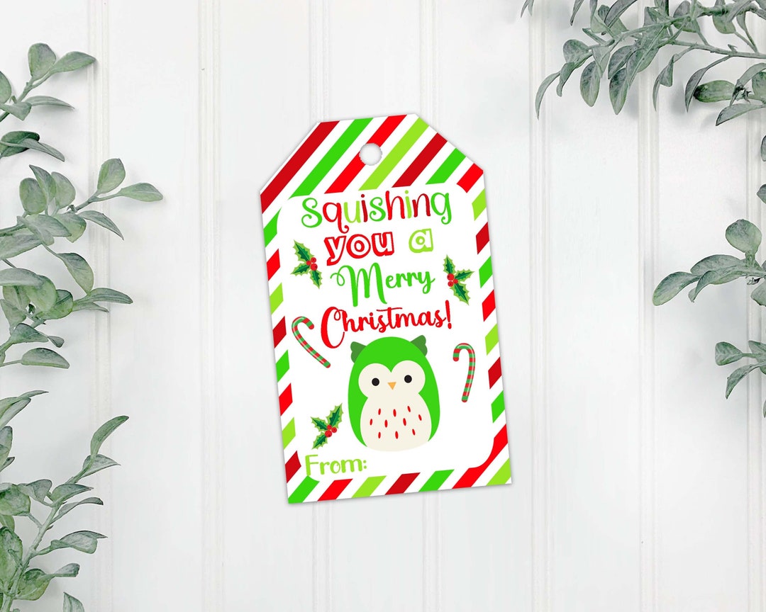 Merry Christmas Squishy Gift Tag, School Squish Holiday Toy Treat Tag ...