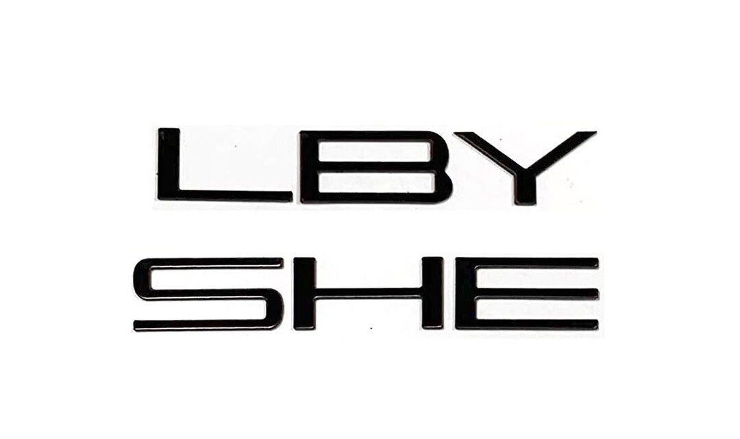 Glossy Black Front Spoiler Letters for Shelby GT350 2015-2018 - Etsy