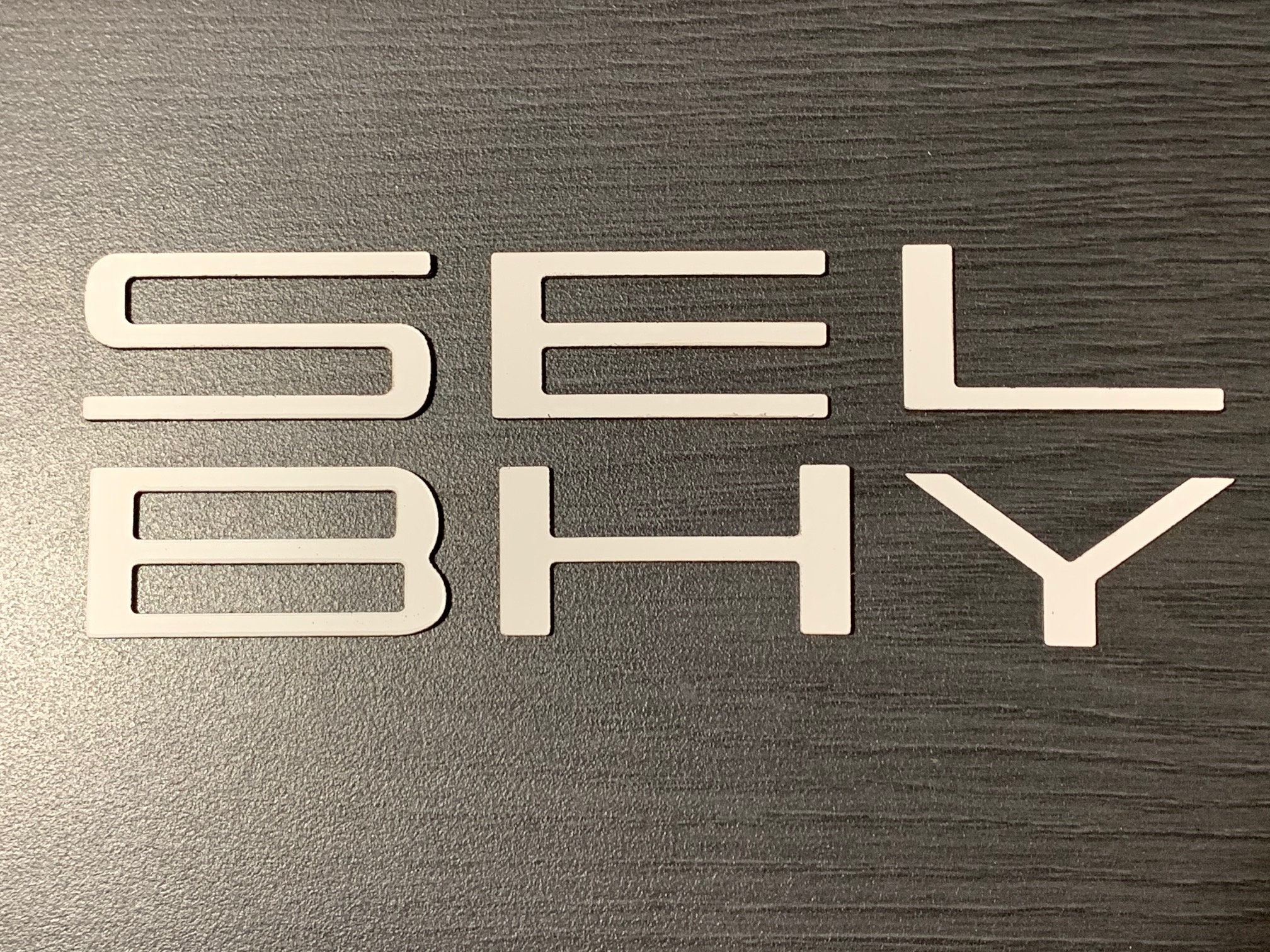 White Front Spoiler Letters for Shelby GT500 2020 ABS Plastic | Etsy