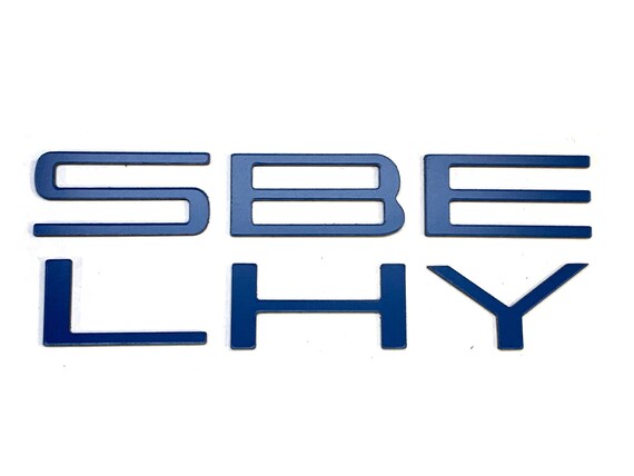 Blue Front Spoiler Letters for Shelby GT500 2020 ABS Plastic | Etsy