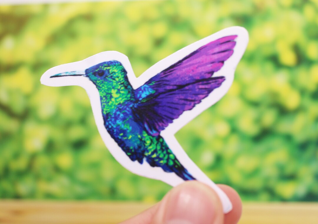 Hummingbird Sticker | Hummingbird Vinyl Sticker | Bird Decal | Tumbler ...
