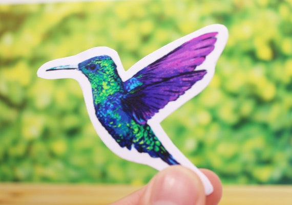 Hummingbird Sticker Hummingbird Vinyl Sticker Bird Decal | Etsy