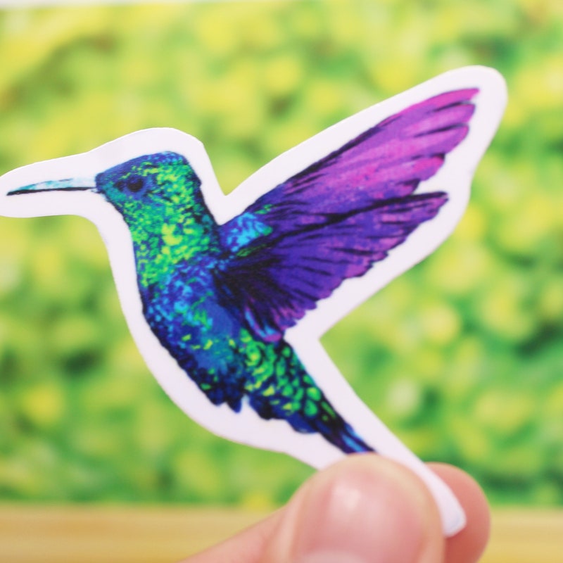 Hummingbird Sticker - Etsy