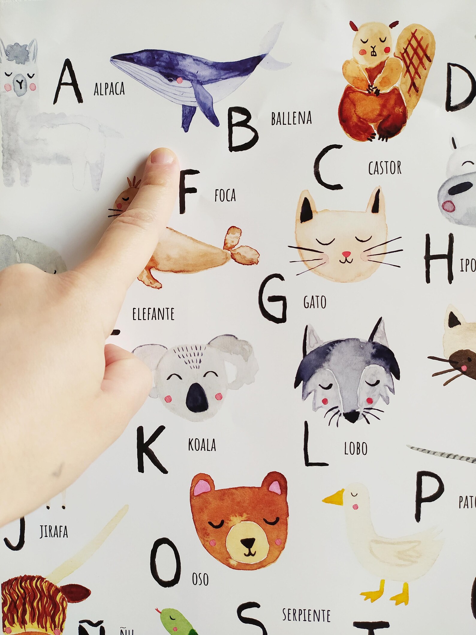 Spanish Alphabet Poster; Animal Alphabet Poster in Spanish; Kidsroom ...