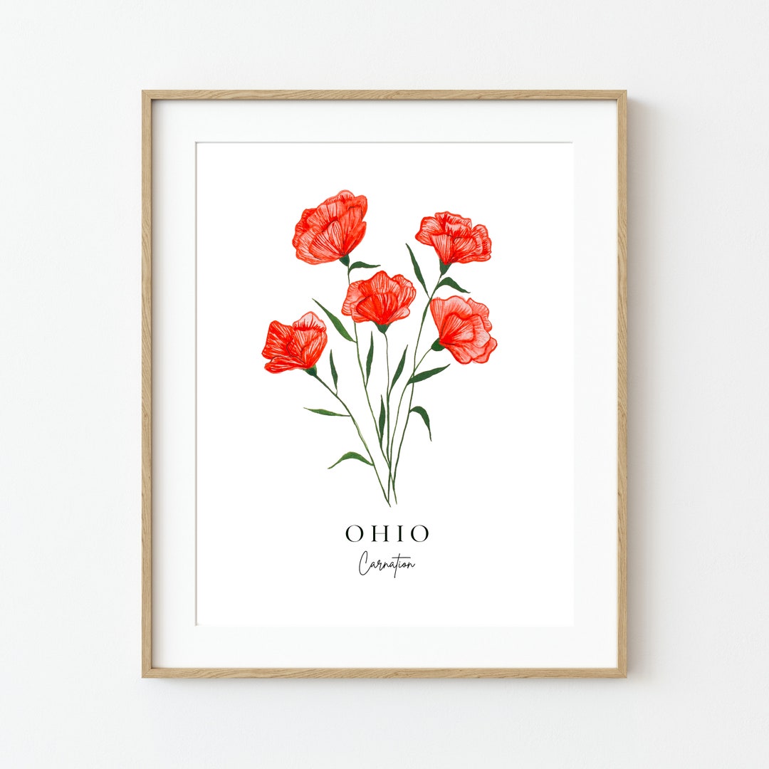 Ohio State Flower Carnation Art Print 11x14 | Watercolor Wall Art ...