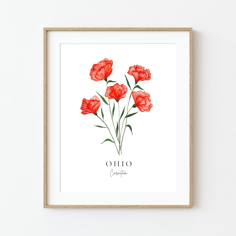 Ohio State Flower Carnation Art Print 11x14 | Watercolor Wall Art ...