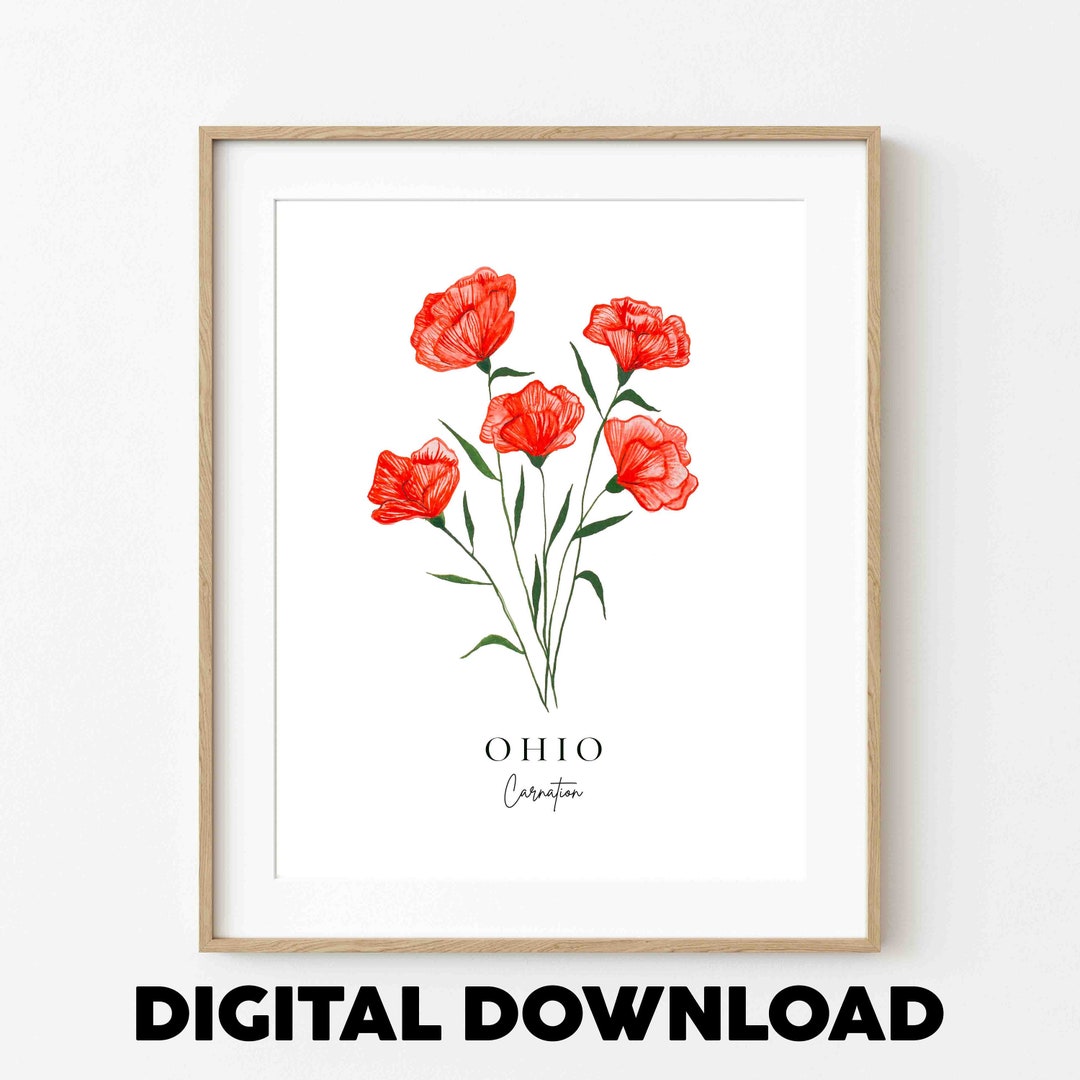 Printable Ohio State Flower Art Print | Digital File, Instant Download ...