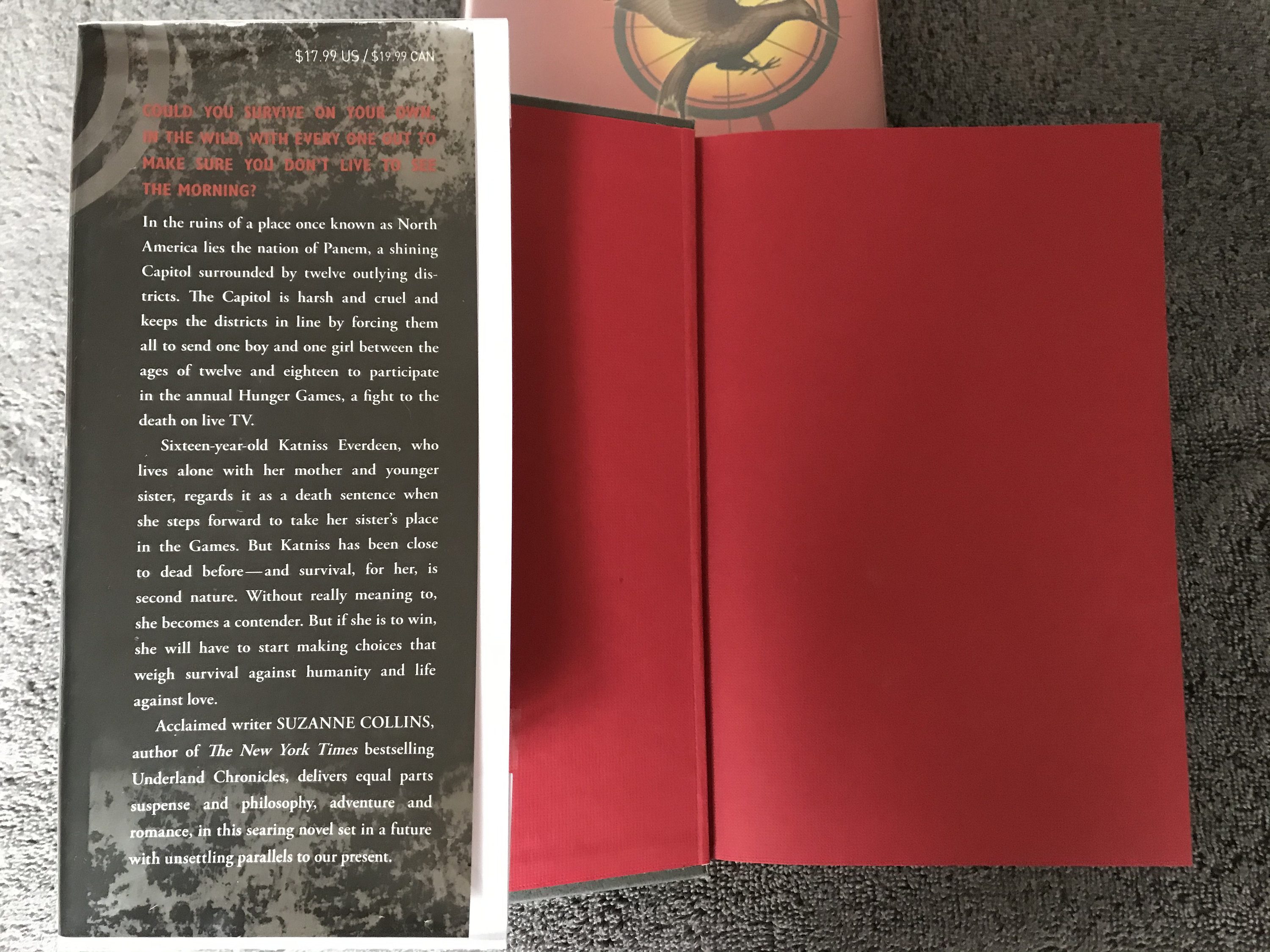 Catching Fire Book Back Cover