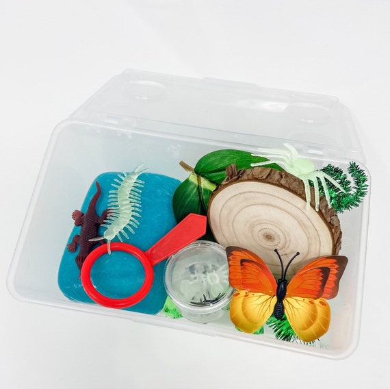 Mini bug playdough kit bug sensory bin sensory bin sensory | Etsy