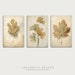 Autumn Leaf Wall Art Cottage Core Prints Watercolor Leaves - Etsy