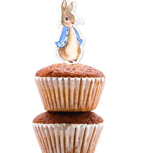 Mini Cake Toppers Peter Rabbit and Friends | Party Supplies for Peter ...