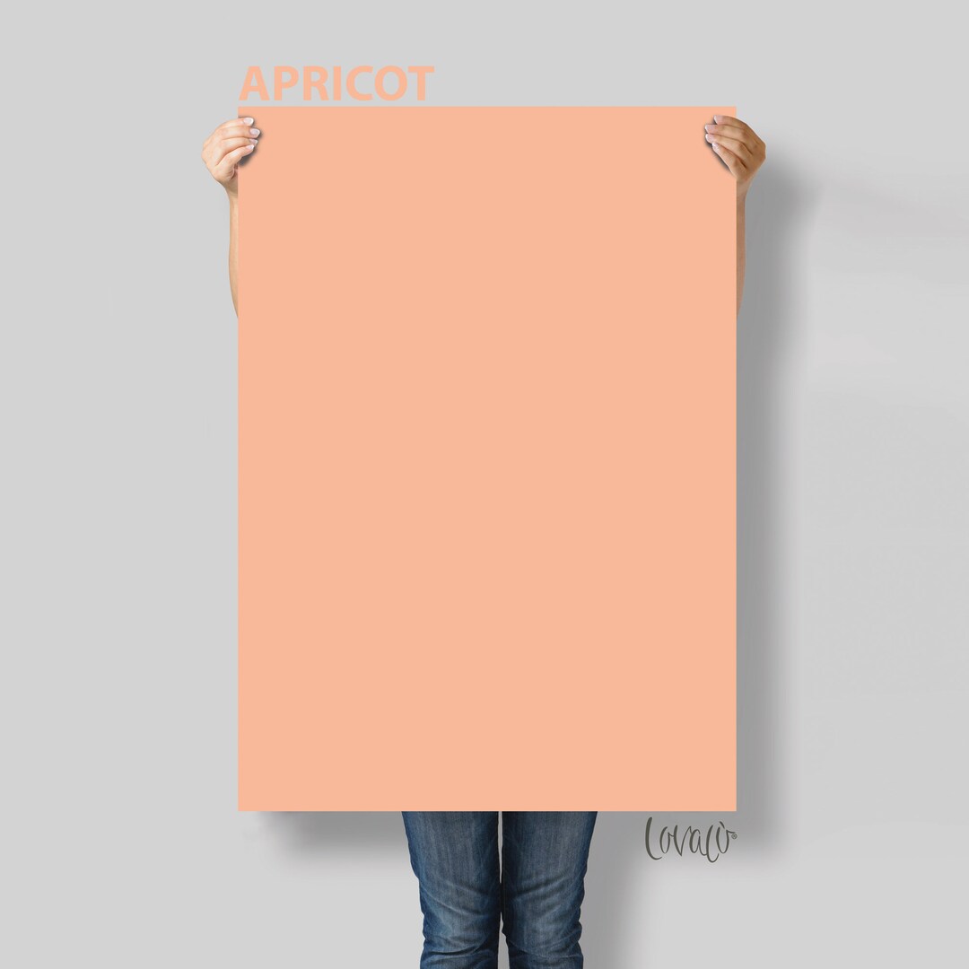 Apricot Photography Backdrop: Solid Color Vinyl, Product & Food ...