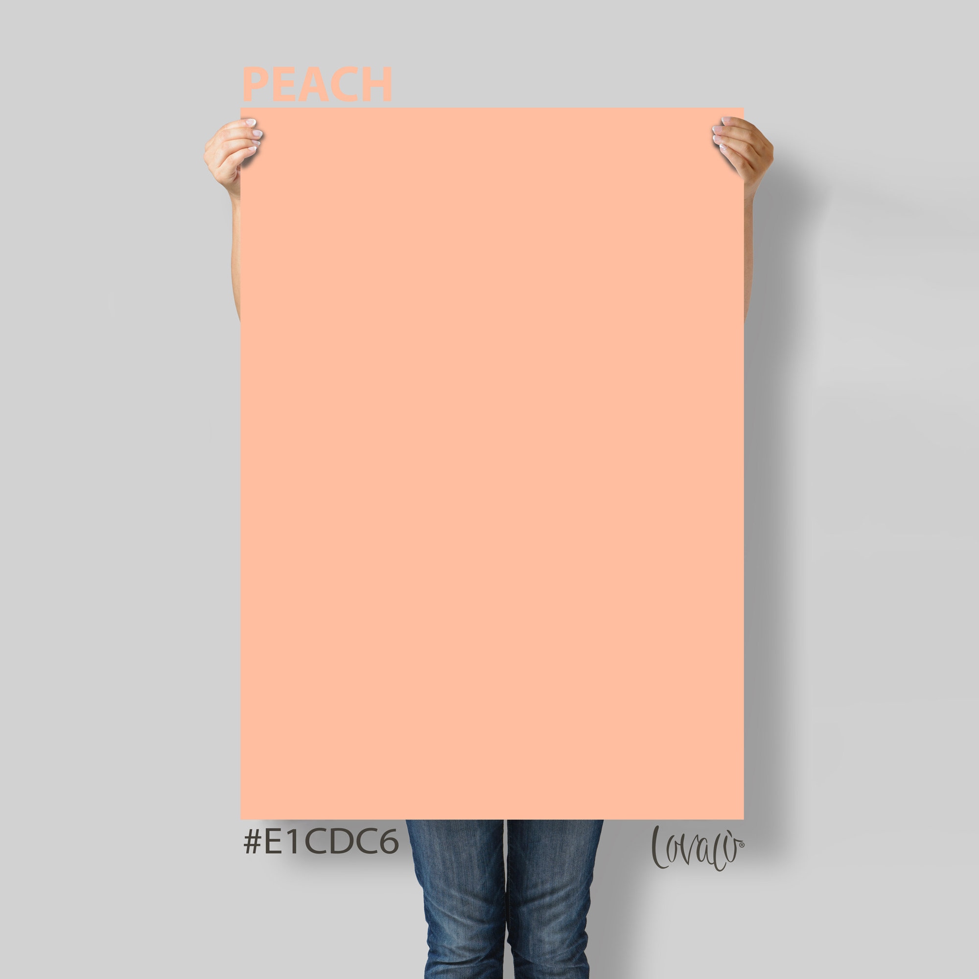 Peach Solid Background 4248