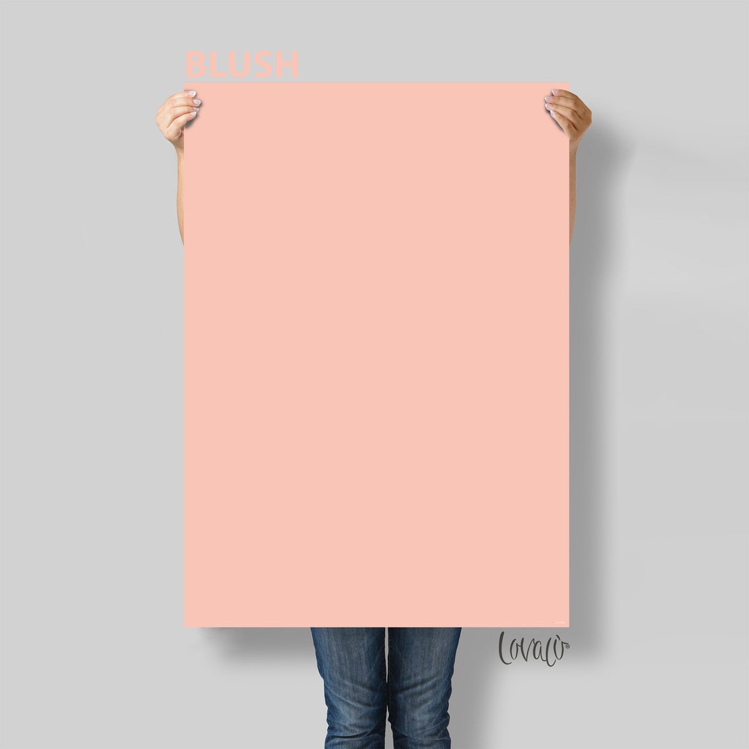 Photography Backdrop Blush Pink Solid Color for Product, Instagram ...