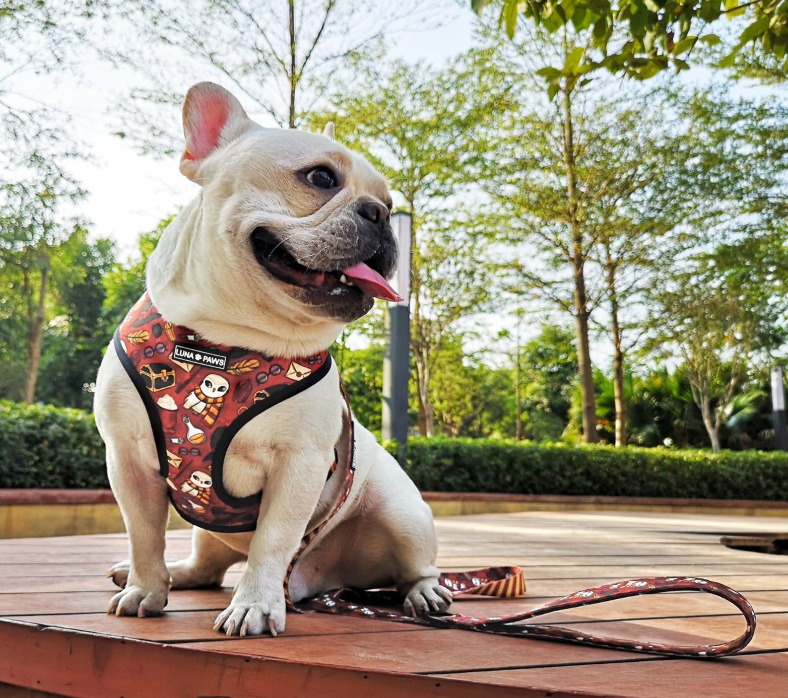 Dogwarts Luna Paws Reversible Harness 2-in-1 Harness Dog - Etsy