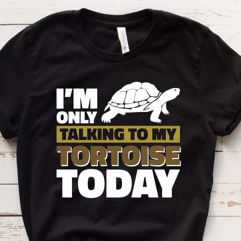 Clothing for Tortoises - Etsy