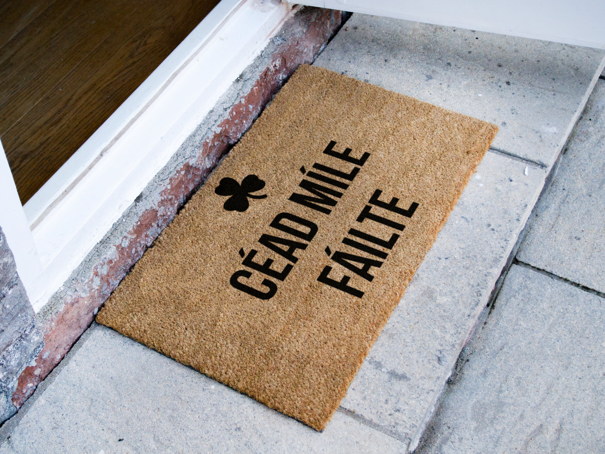 Céad Míle Fáilte Irish Welcome Mat A Thousand Welcomes - Etsy UK
