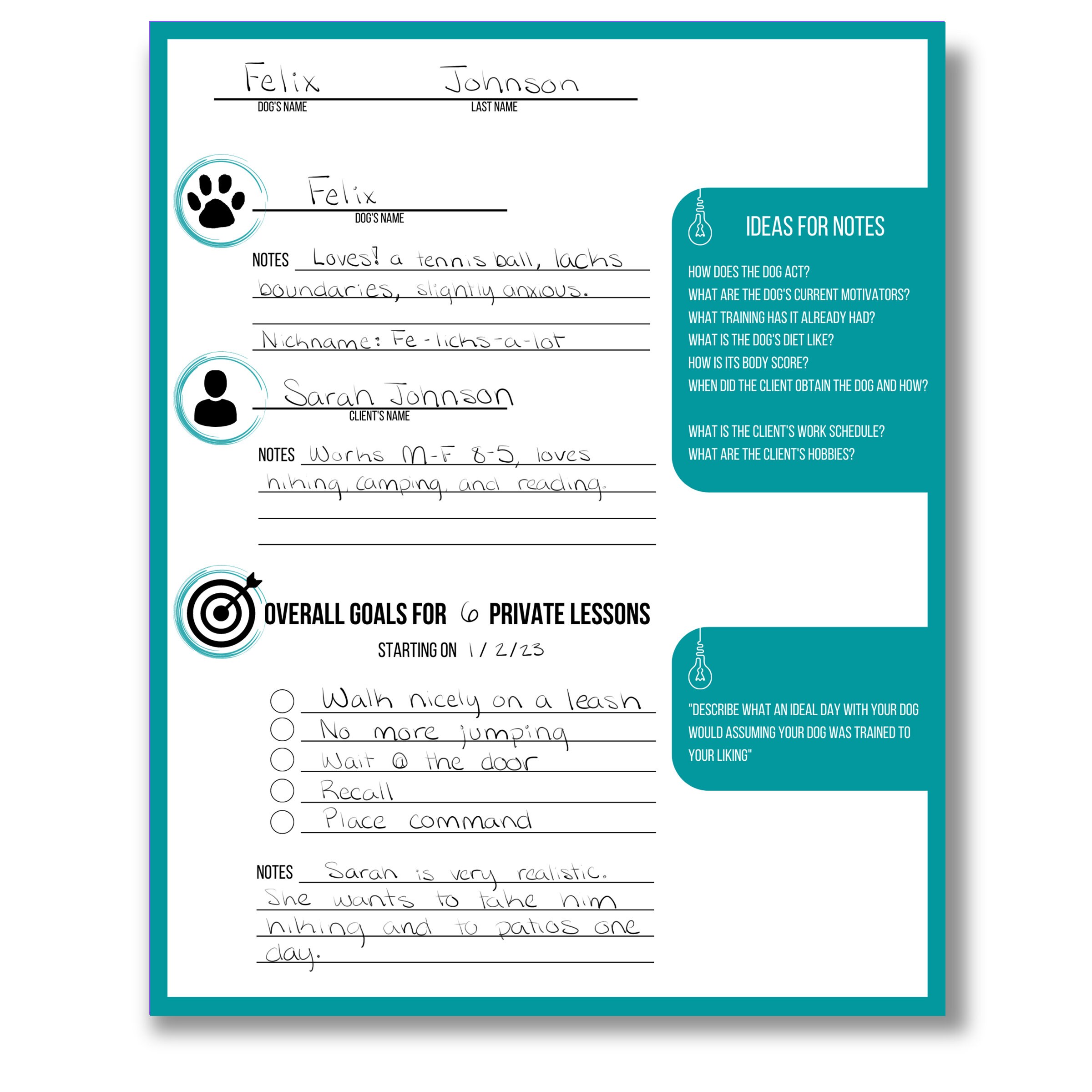 Private Lesson Notes Template for Digital or Printed Use - Etsy