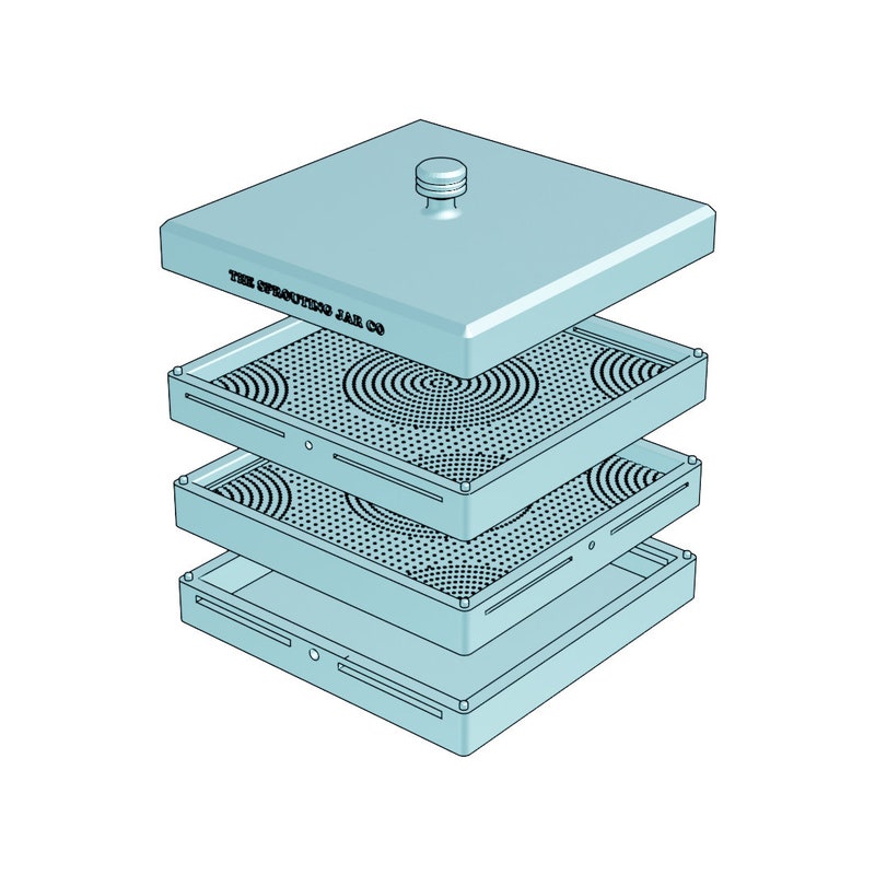 Sprout Pepper K7le - Etsy Australia