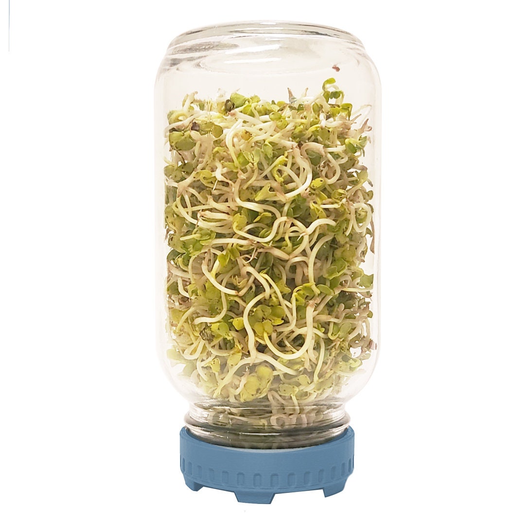 Mason Jar Sprouting Lid Stand STL - Etsy