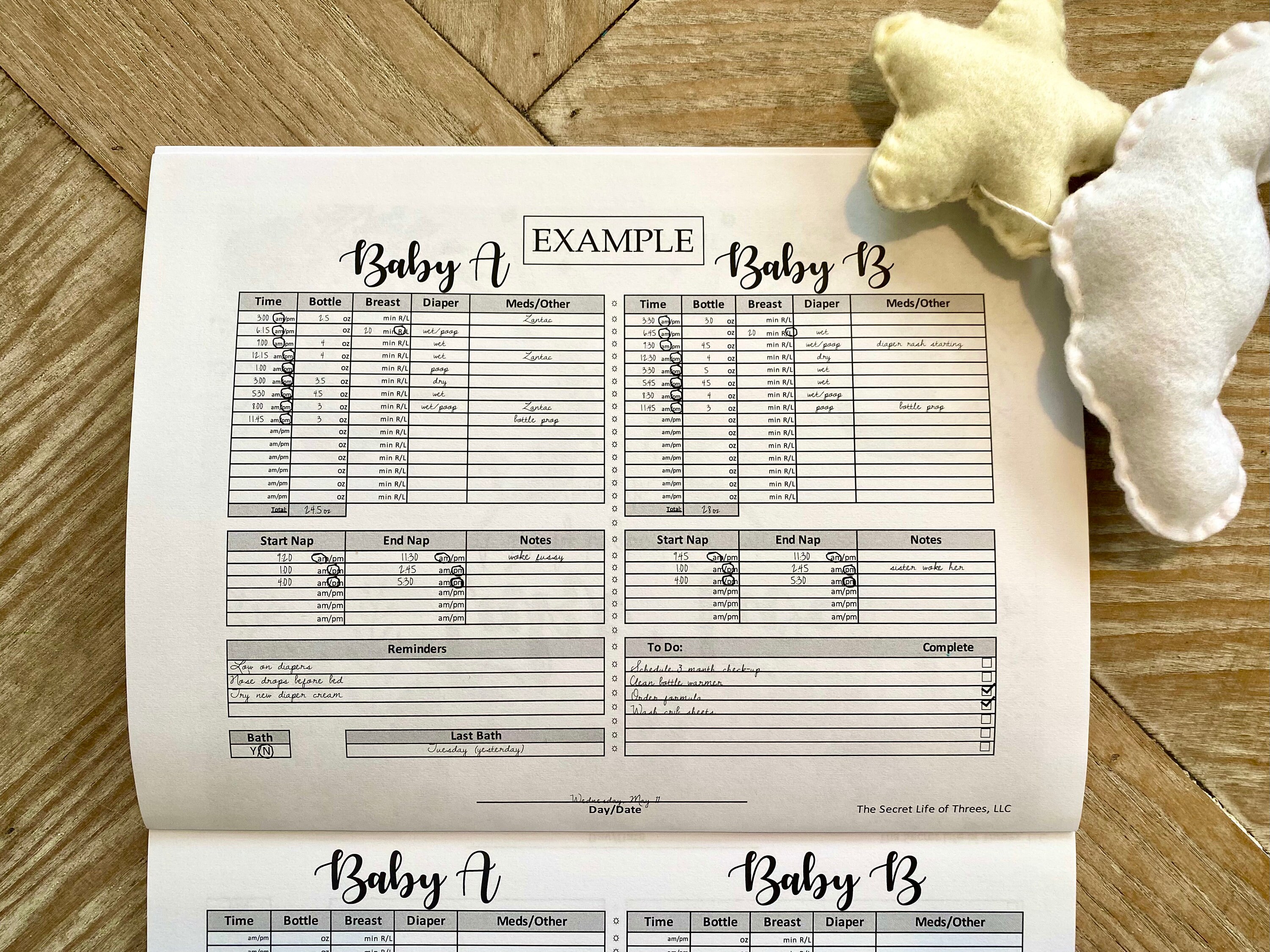 Take Two: A Daily Logbook for Twins - Etsy