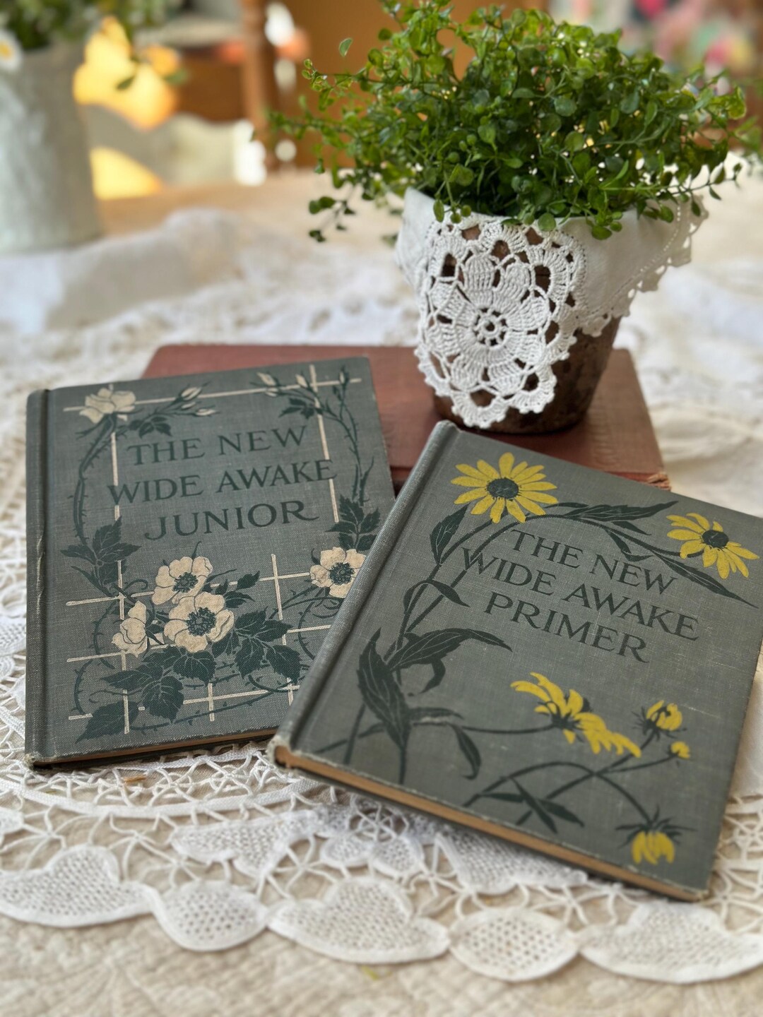 Antique School Primers - 1930 the New Wide Awake Primer and Junior ...