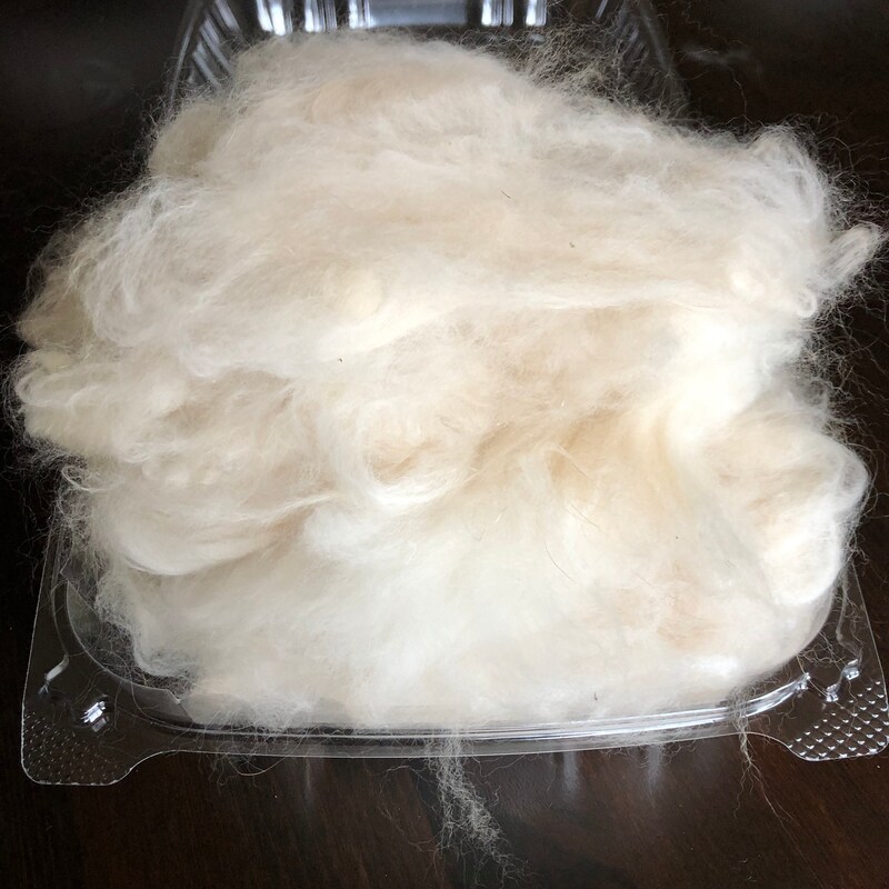 Angora Fiber - Etsy